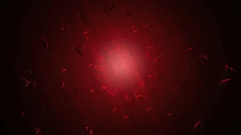 M Hoell Animation Stock Videos – Royalty-Free HD & 4K Videos | Pond5