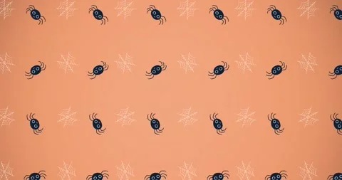 Animation of spiders and webs on pink ba... | Stock Video | Pond5