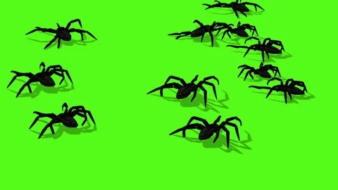 Animation Of Spiders On Green Screen Cre... | Stock Video | Pond5