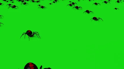 Animation Of Spiders On Green Screen Cre... | Stock Video | Pond5