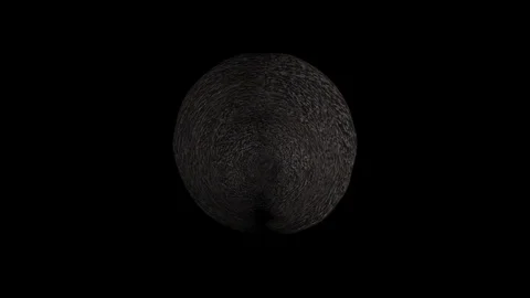 Animation of a spinning avocado on a bla... | Stock Video | Pond5