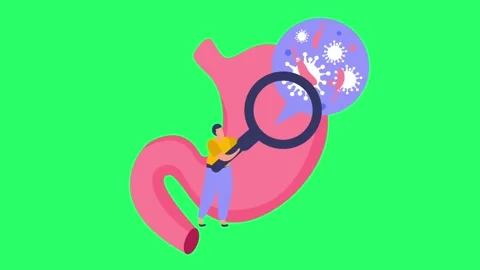 Animation stomach on green screen. | Stock Video | Pond5