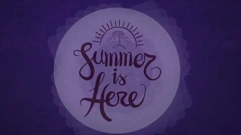 Iolet Is Here Stock Videos – Royalty-Free HD & 4K Videos