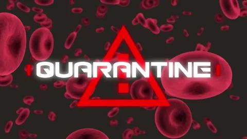 Health Triangle Video Stock Videos – Royalty-Free HD & 4K Videos