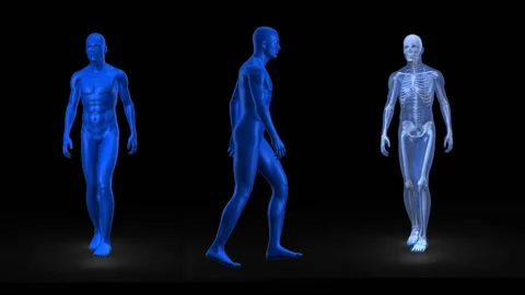 Animation of three blue human figures wa... | Stock Video | Pond5