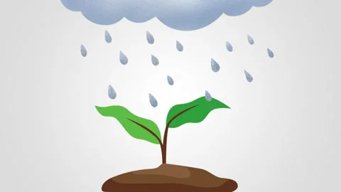 Animation of tree growth from seedling t... | Stock Video | Pond5
