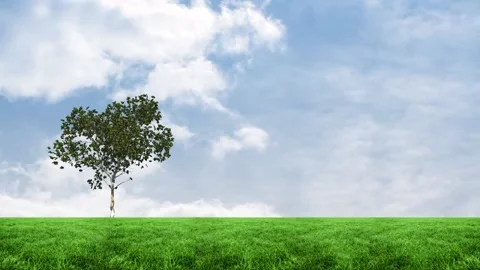Animation of tree over sky with clouds | Stock Video | Pond5