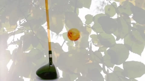 Animation of trees over golf ball and go... | Stock Video | Pond5