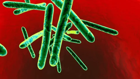 Mycobacterium Tuberculosis Stock Videos – Royalty-Free HD & 4K Videos ...