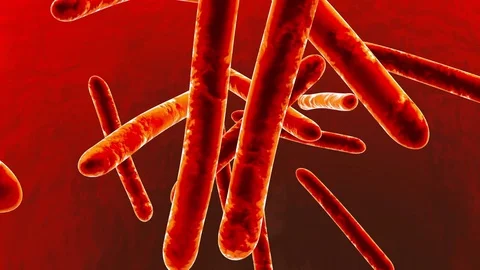 Animation of Tuberculosis bacterias infe... | Stock Video | Pond5