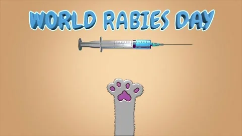 Rabies Stock Video Footage | Royalty Free Rabies Videos | Pond5