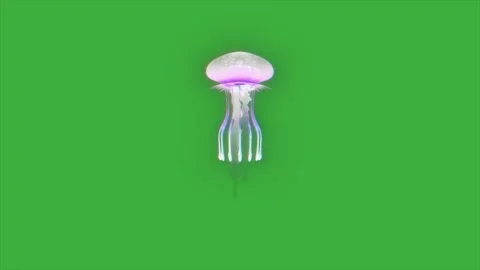 Animation video loop hologram jellyfish ... | Stock Video | Pond5