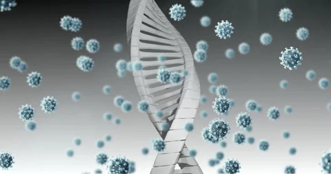 Animation of virus cells and dna strand ... | Stock Video | Pond5