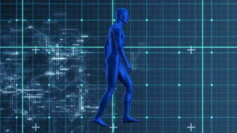 Animation of walking human body model in... | Stock Video | Pond5