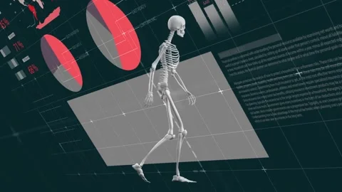 Animation of walking human skeleton over... | Stock Video | Pond5