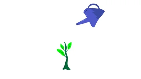 Watering Money Plant Stock Videos – Royalty-Free HD & 4K Videos | Pond5