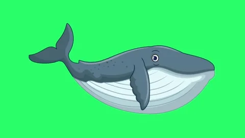 Animation whale isolate on green screen. | Stock Video | Pond5