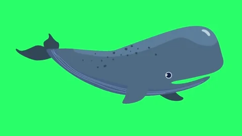 Animation whale isolate on green screen. | Stock Video | Pond5