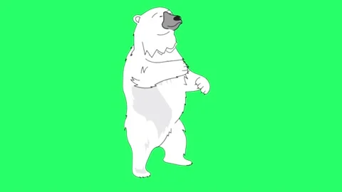 Bear Green Screen Stock Video Footage | Royalty Free Bear Green Screen ...