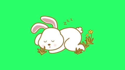 Animation white cute rabbit on green scr... | Stock Video | Pond5