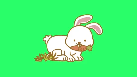 Animation white cute rabbit on green scr... | Stock Video | Pond5