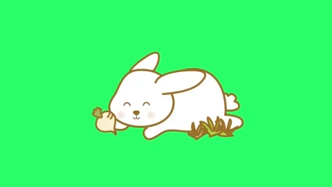 Animation white cute rabbit on green scr... | Stock Video | Pond5