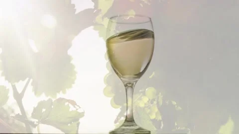 Animation of white wine in glass on back... | Stock Video | Pond5