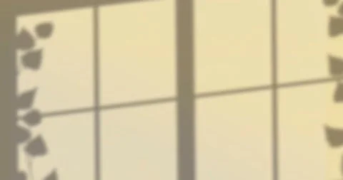 Animation of window shadow of leaves on ... | Stock Video | Pond5