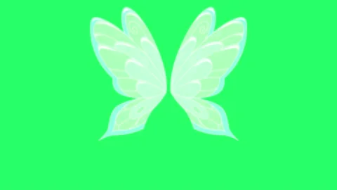 Animation wing fantasy style isolate on ... | Stock Video | Pond5