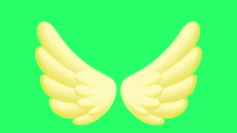 Animation wing fantasy style isolate on ... | Stock Video | Pond5