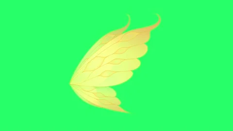 Animation wing fantasy style isolate on ... | Stock Video | Pond5
