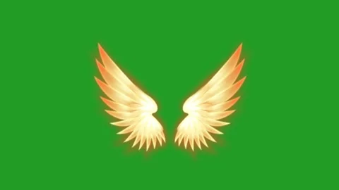 Animation wings on green screen | Stock Video | Pond5