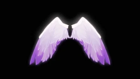 Animation wings isolate on black backgro... | Stock Video | Pond5