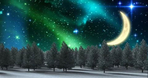 Animation of winter landscape with trees... | Stock Video | Pond5