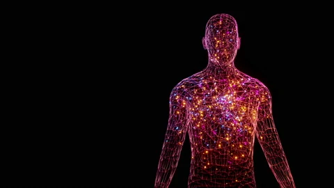 Inside Animation Stock Video Footage | Royalty Free Inside Animation ...