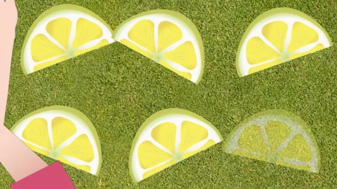 Talking Lemon Stock Videos – Royalty-Free HD & 4K Videos | Pond5