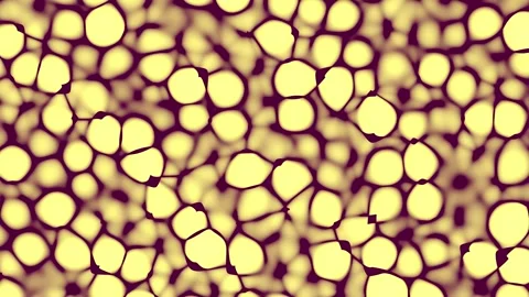 Animation of yellow cells under the micr... | Stock Video | Pond5