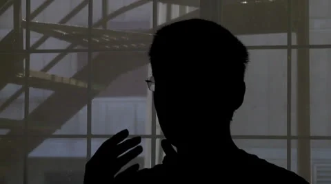 Silhouette Interview Stock Video Footage | Royalty Free Silhouette ...