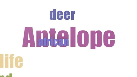 Antelope Isolated Stock Footage ~ Royalty Free Stock Videos | Pond5