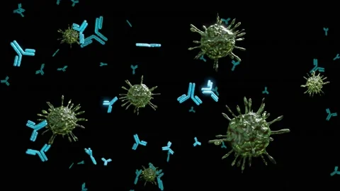 Antibodies attack and destroy the corona... | Stock Video | Pond5