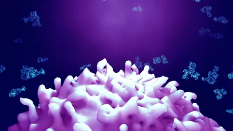 Antibodies attacking cancer cell, animat... | Stock Video | Pond5