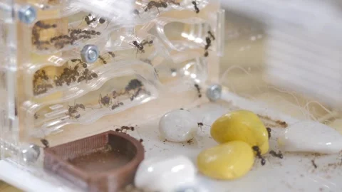 Transparent Black Box Stock Videos – Royalty-Free HD & 4K Videos | Page 3