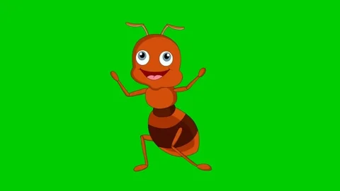 Ants Dance Video with green screen backg... | Stock Video | Pond5