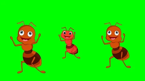 Ants Dance Video with green screen backg... | Stock Video | Pond5