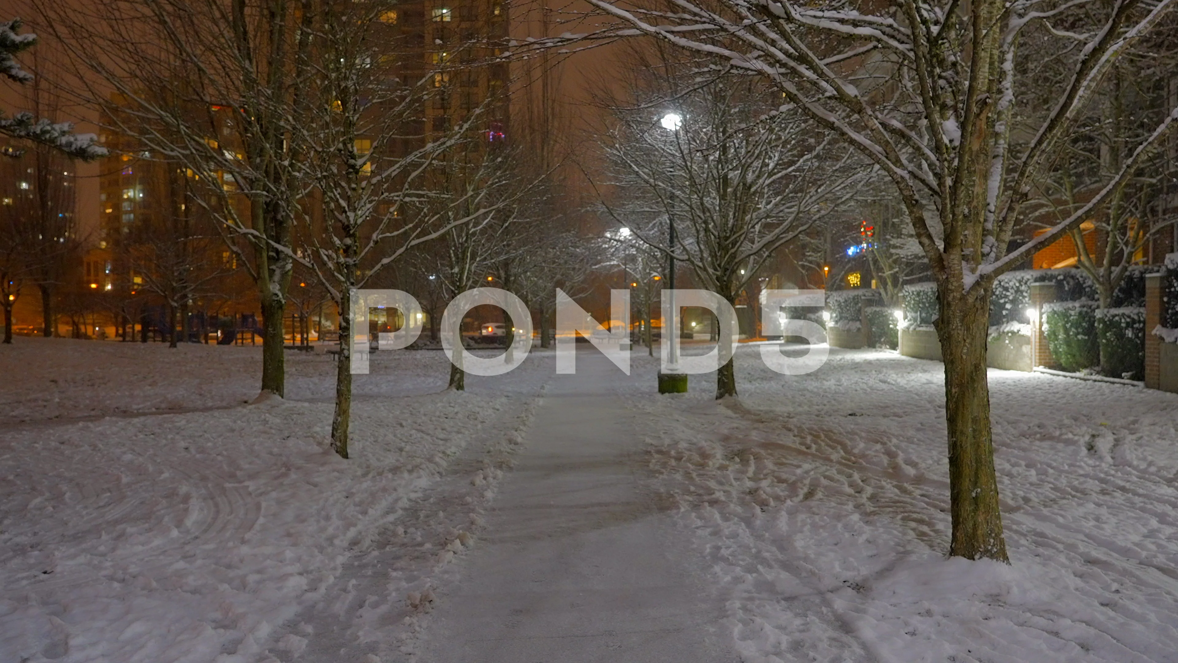 Beautiful Snow Pictures At Night