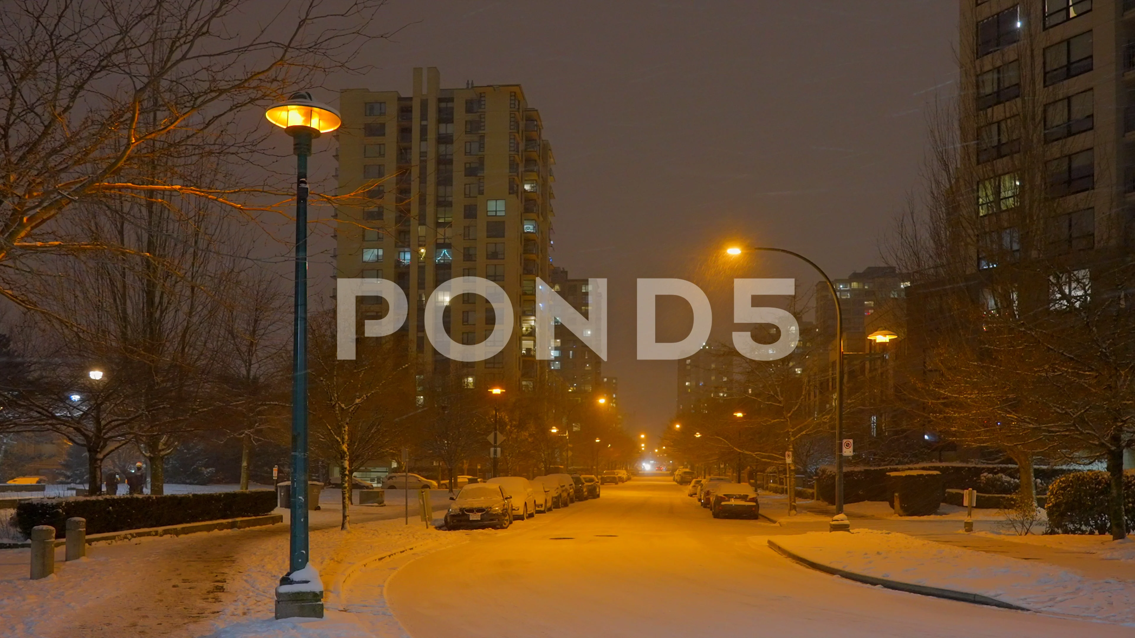Beautiful Snow Pictures At Night