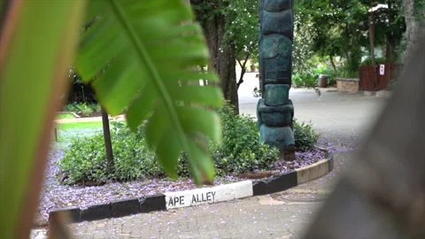 Ape Alley road sign in Johannesburg Zoo,... | Stock Video | Pond5