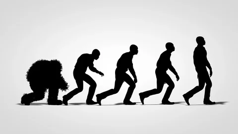 Ape to Human Silhouette Progression Walk... | Stock Video | Pond5