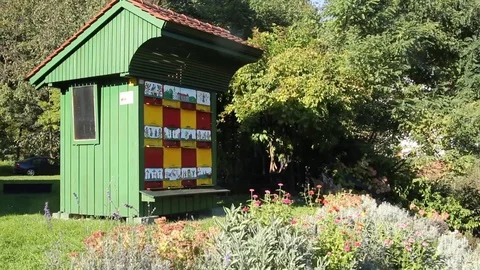 Apiary with bees on the garden in front ... | Stock Video | Pond5