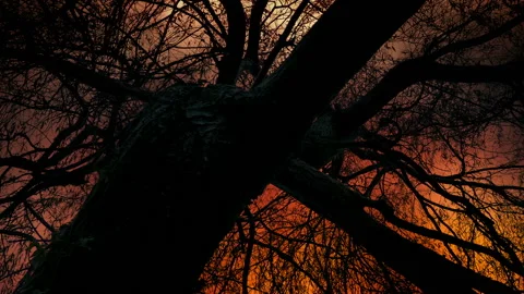 Apocalypse Sky Stock Footage ~ Royalty Free Stock Videos | Pond5